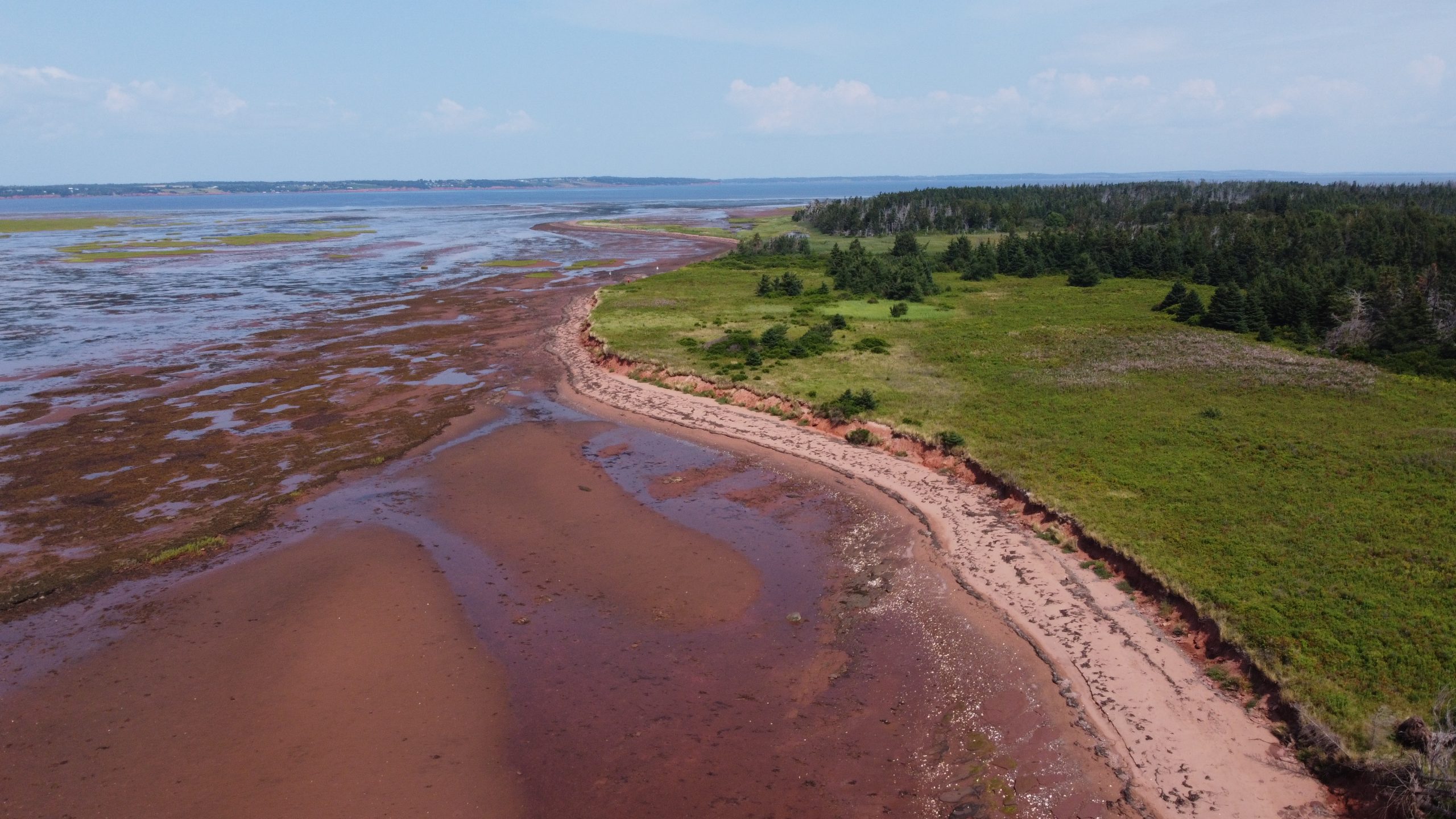 Écosystèmes côtiers de l’Île-du-Prince-Édouard : comprendre les liens ...